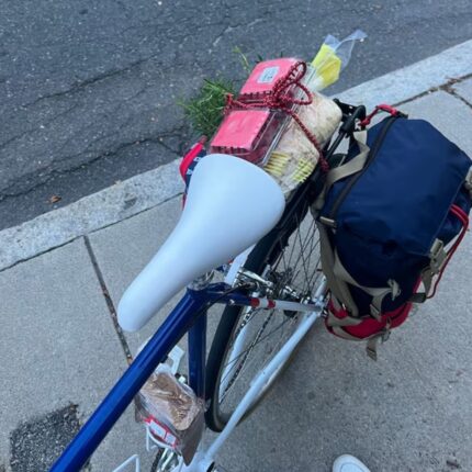 Gravel Kirk Pannier Hooks | Universal Pannier